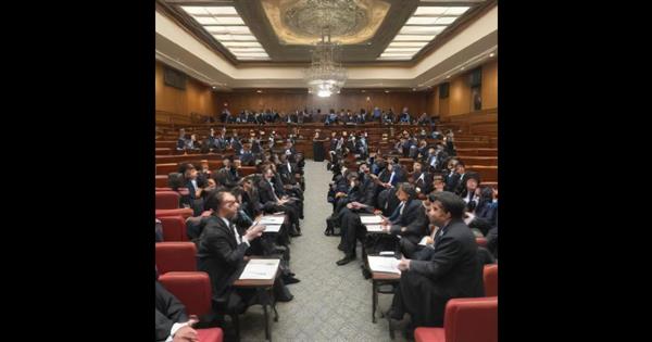 Regional vs National Model United Nations: Contrasting Paths Toward ...